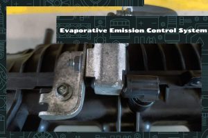 Evaporative Emission Control System – Components & Common Problems ...
